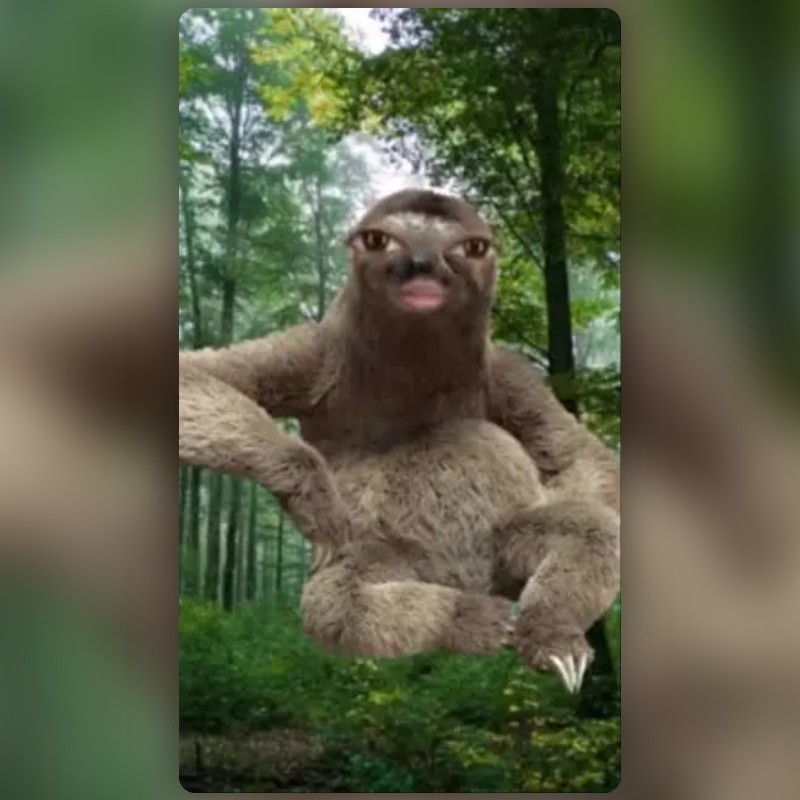 Funny Sloth Filter by Rachel | Snapchat Lenses