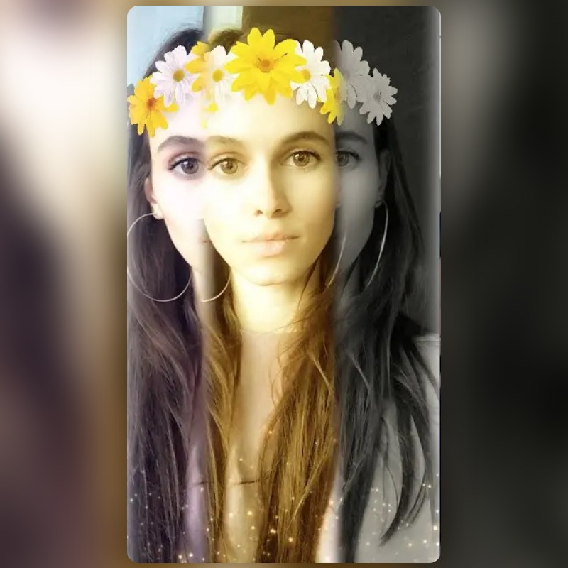 Triple Flower Crown Lens by Snapchat - Snapchat Lenses and Filters