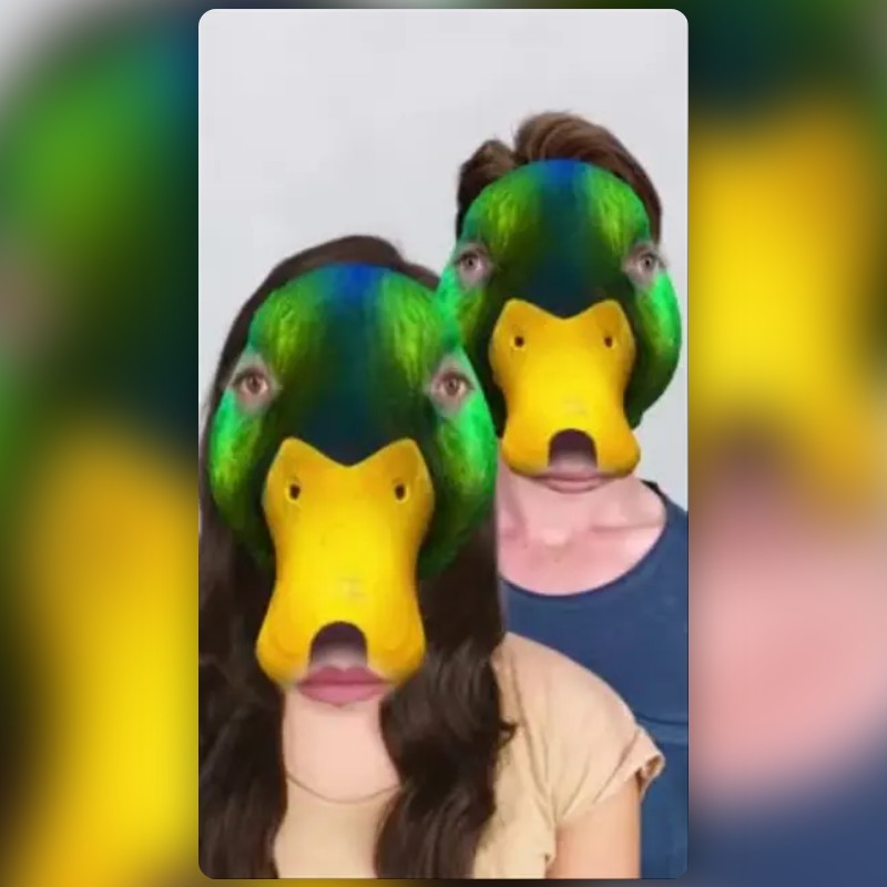 Duck Filter by Nick DiVito 👁_👁 | Snapchat Lenses