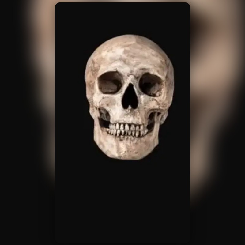 skeleton Filter by 𝓢𝓽𝔂𝓻𝓴 | Snapchat Lenses
