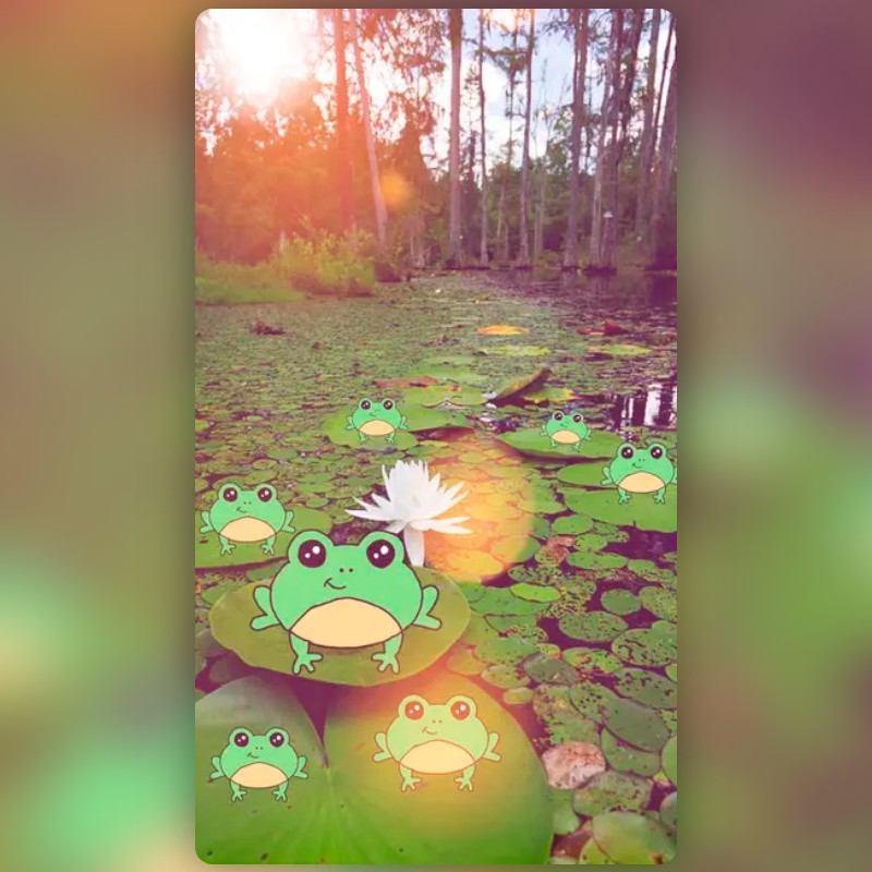 Cute Frogs Lens - Snapchat Lenses and Filters