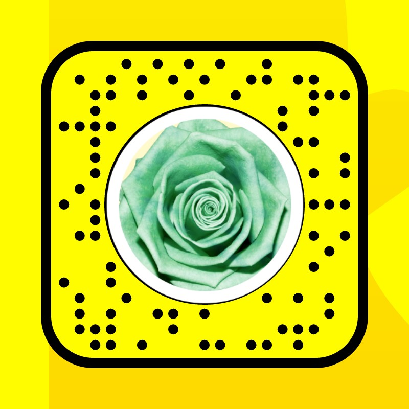 silver Filter by فضه البغيلي | Snapchat Lenses