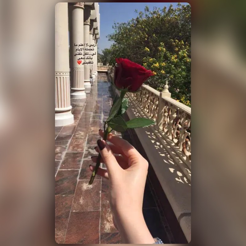 hand Lens by خواطر بحر‏ - Snapchat Lenses and Filters