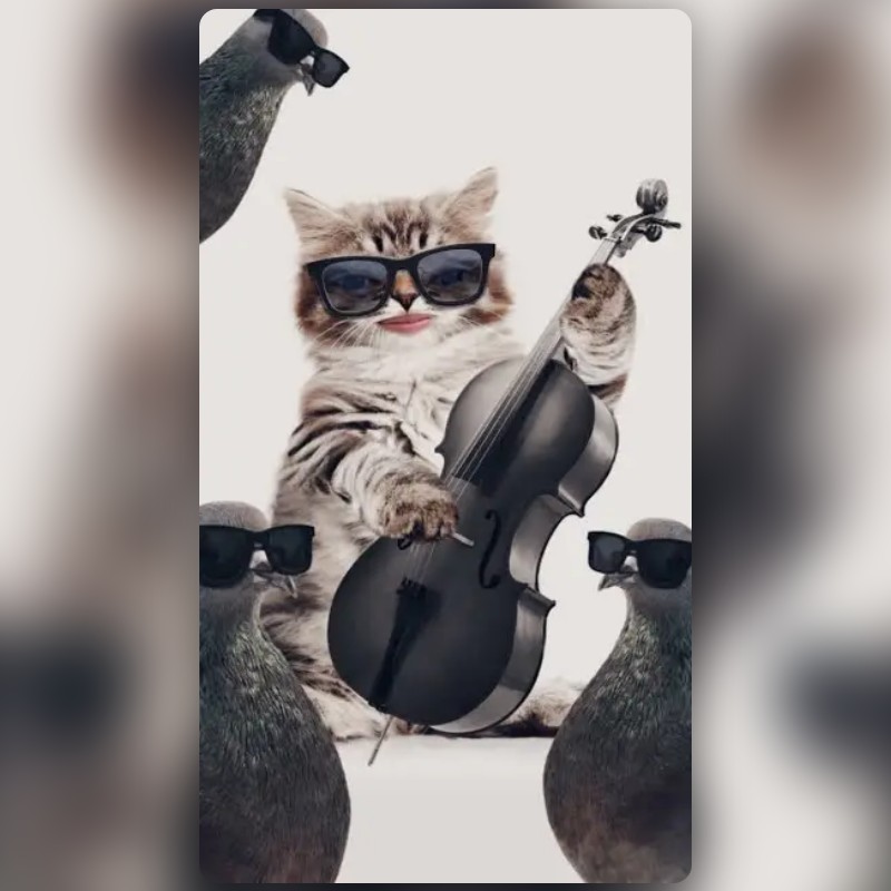 Fun Music Quartet Filter by Snapchat | Snapchat Lenses