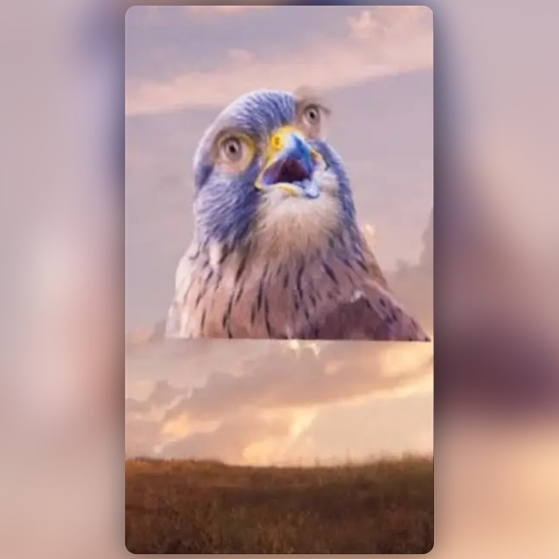 Purple Bird Face Filter by Danielle Grace | Snapchat Lenses