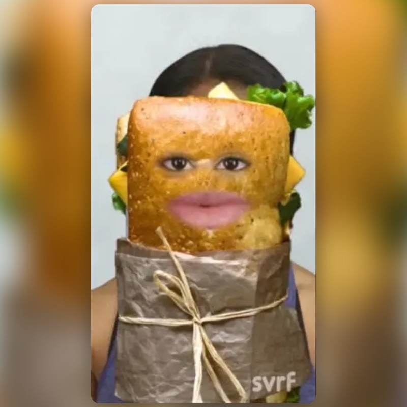 Hey Panini Meme Lens by svrf - Snapchat Lenses and Filters