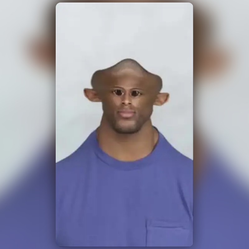 small face big ear Lens by Conner - Snapchat Lenses and Filters
