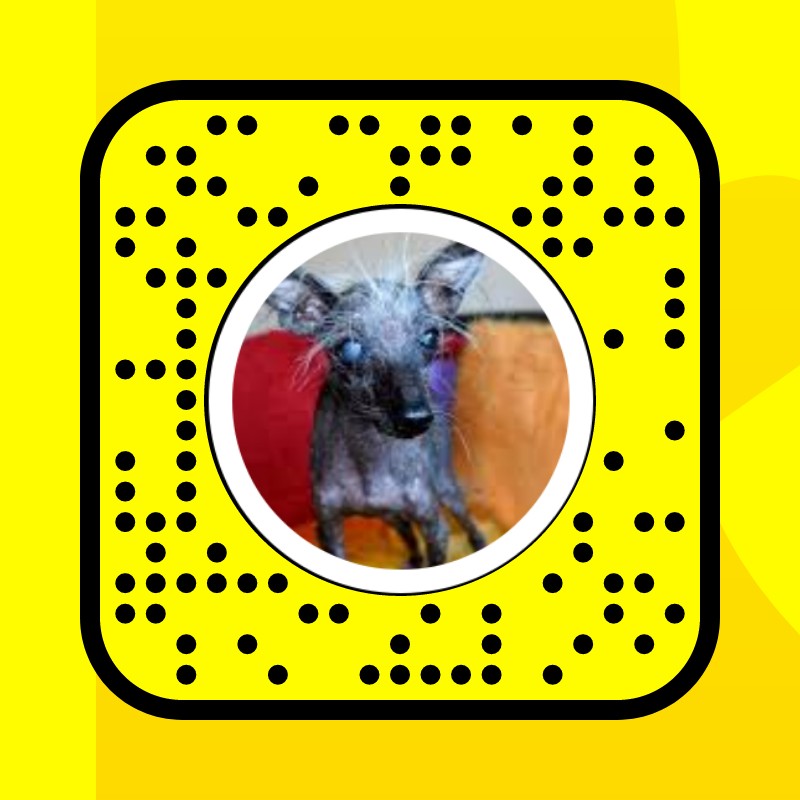 Your Future Pet Filter by Ella Fitzgerald | Snapchat Lenses
