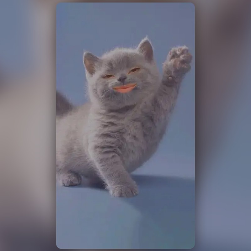 Cute Cat Lens by Snapchat - Snapchat Lenses and Filters