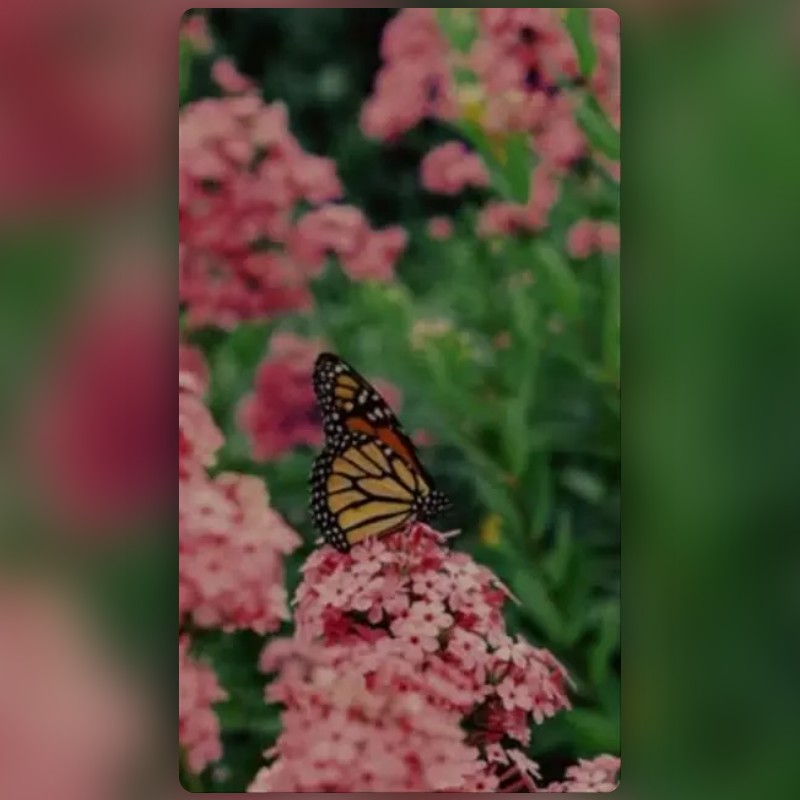 Unique Mood Filter by Alkayedd | Snapchat Lenses