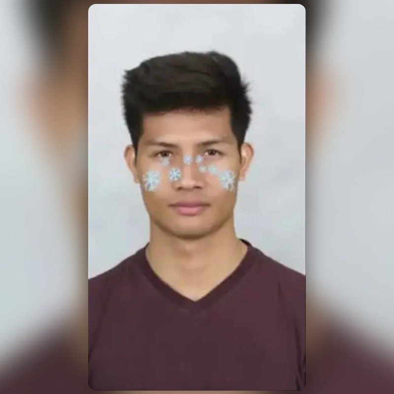 snowfalls blush Filter by Cosmina