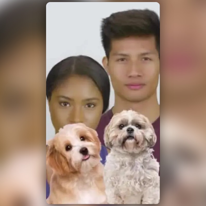 Cute Doggy Filter by Feliciaangela | Snapchat Lenses