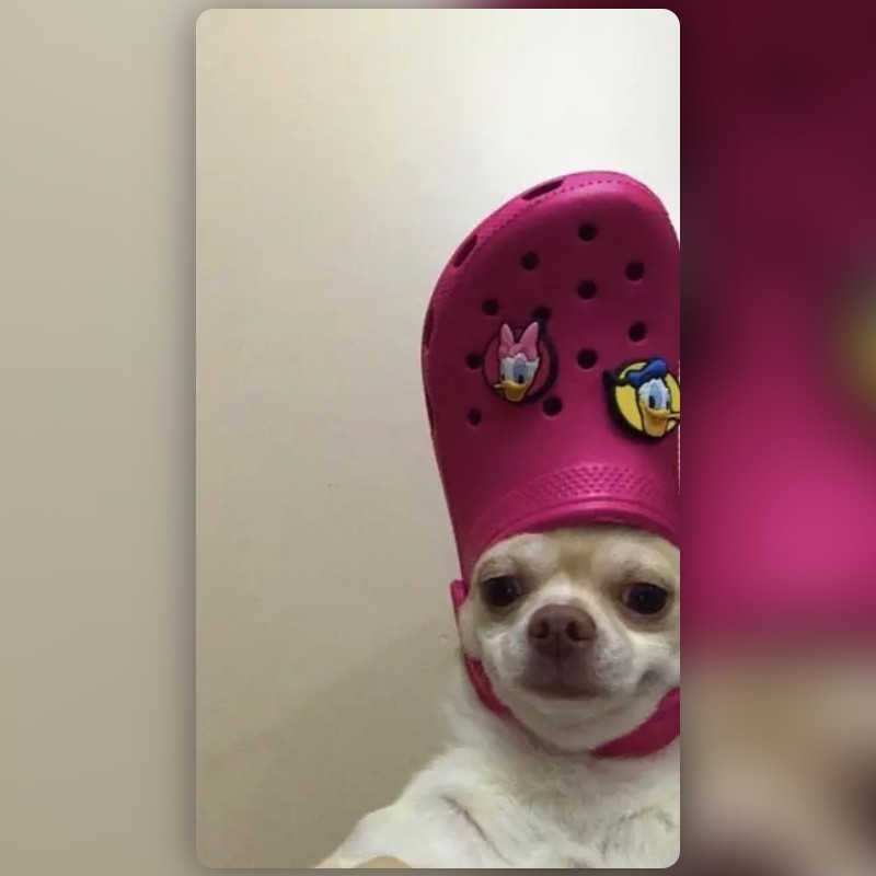 Croc Dog facetime Filter by M | Snapchat Lenses