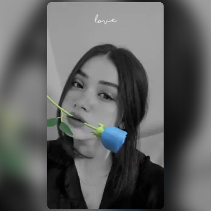 ROSE Lens by Saraa🦋🌈 - Snapchat Lenses and Filters