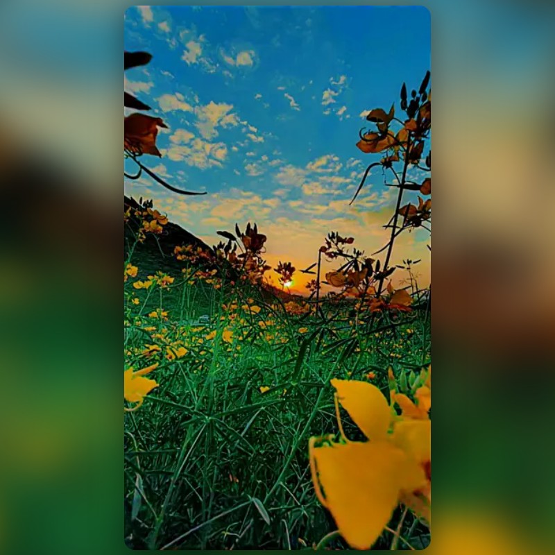 BORAA HDR Lens by 𝐚𝐛𝐝𝐚𝐥𝐥𝐚 - Snapchat Lenses and Filters