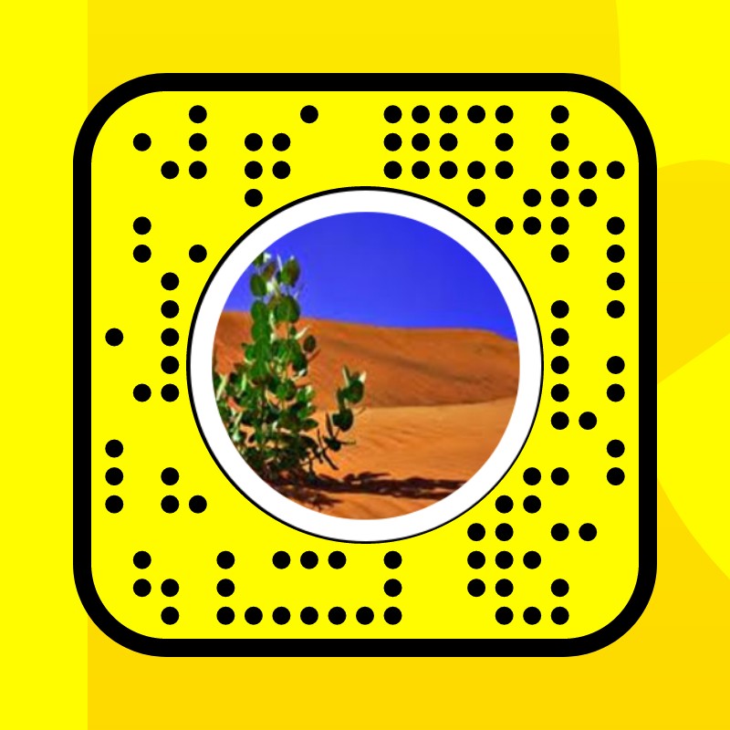sand trees Filter by ام سعيد | Snapchat Lenses