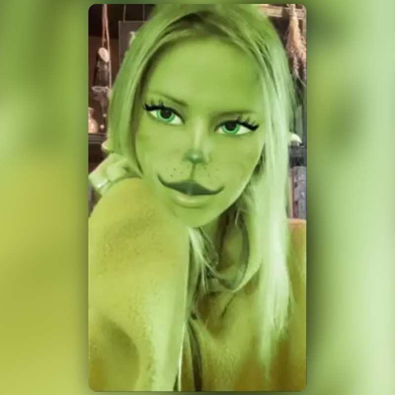 LiL Yass Grinch Lens by Paige Piskin - Snapchat Lenses and Filters