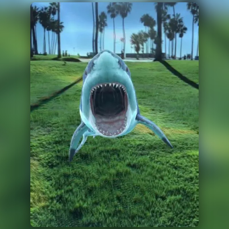 Shark Filter by Snapchat | Snapchat Lenses