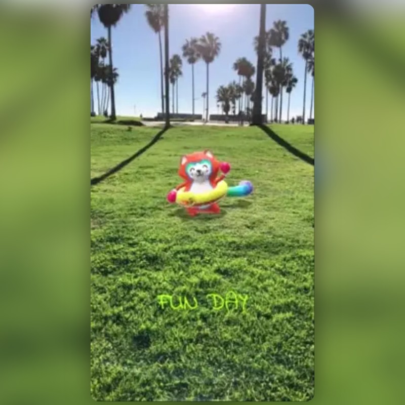 Dancing Cat Filter by ️ Yashu | Snapchat Lenses