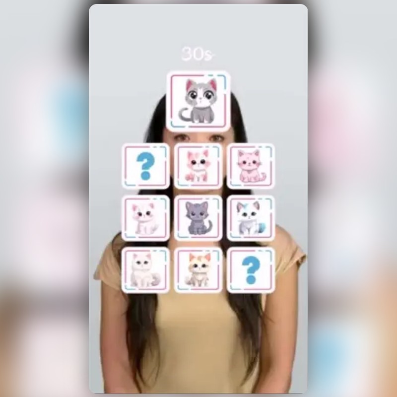 Cat Memory Game Lens by Apriandi - Snapchat Lenses and Filters