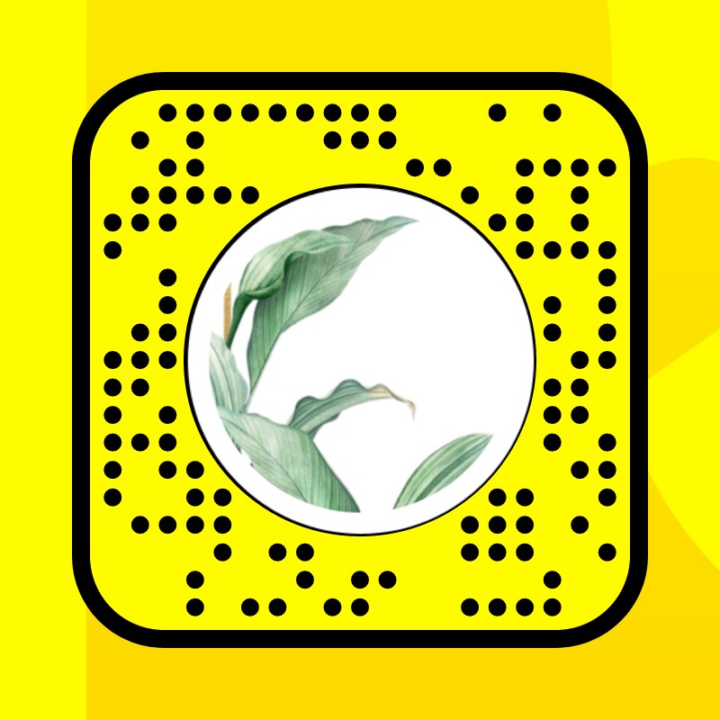 reem -b-designs107 Filter by بتول آلُعٍبدِآلُلُہ 🦒 | Snapchat Lenses