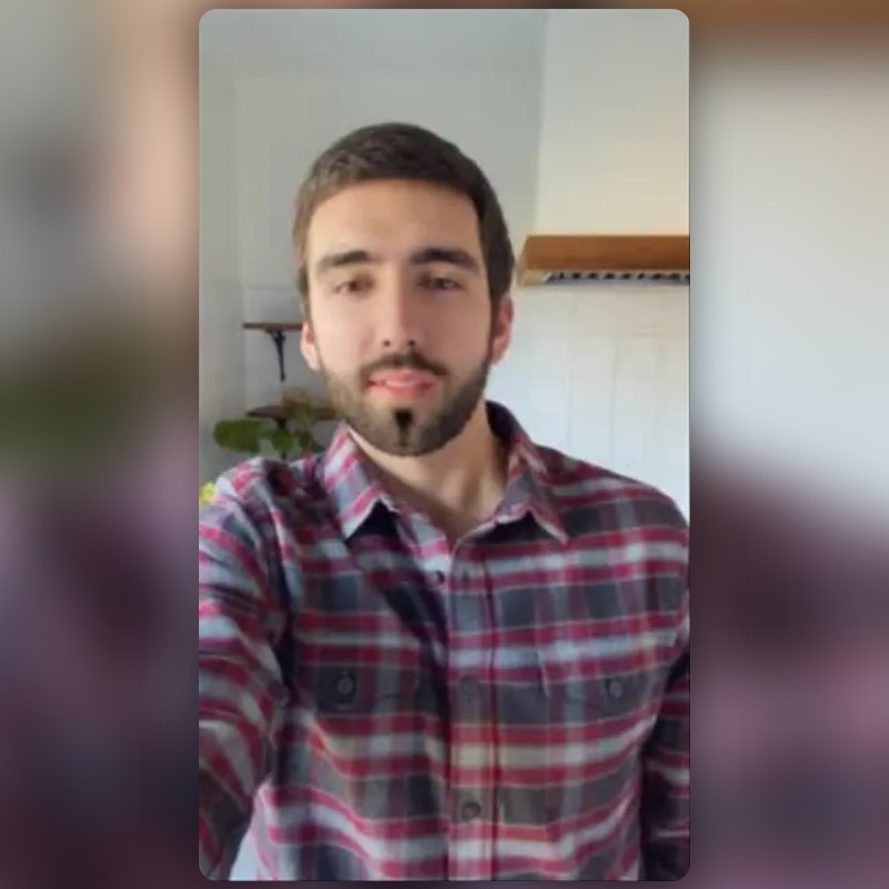 Neat Beard Filter by Herbert Hackman | Snapchat Lenses