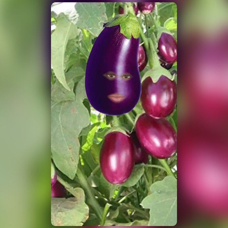 Egg plant Filter by Snapchat | Snapchat Lenses