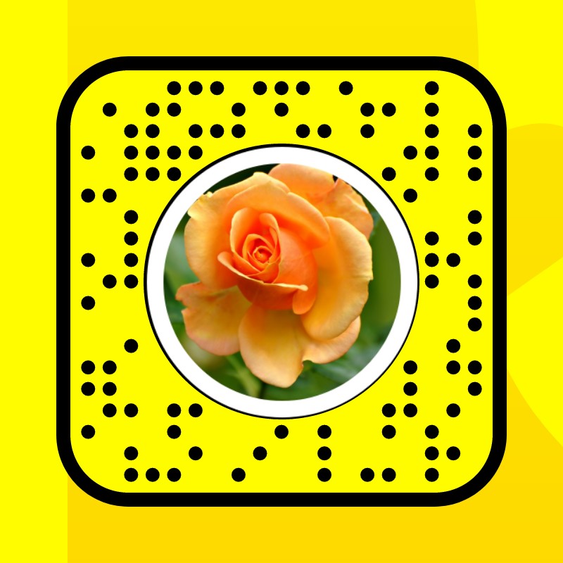 kid from ice age Filter by brenna ☆ | Snapchat Lenses