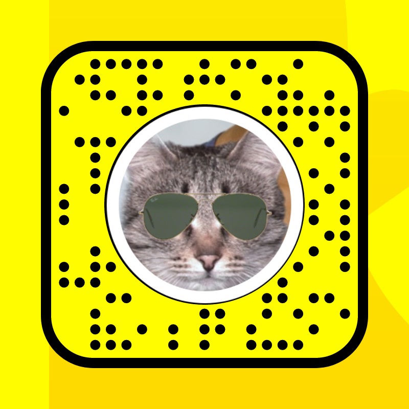 Cat glasses Lens by Vanessa Meier - Snapchat Lenses and Filters