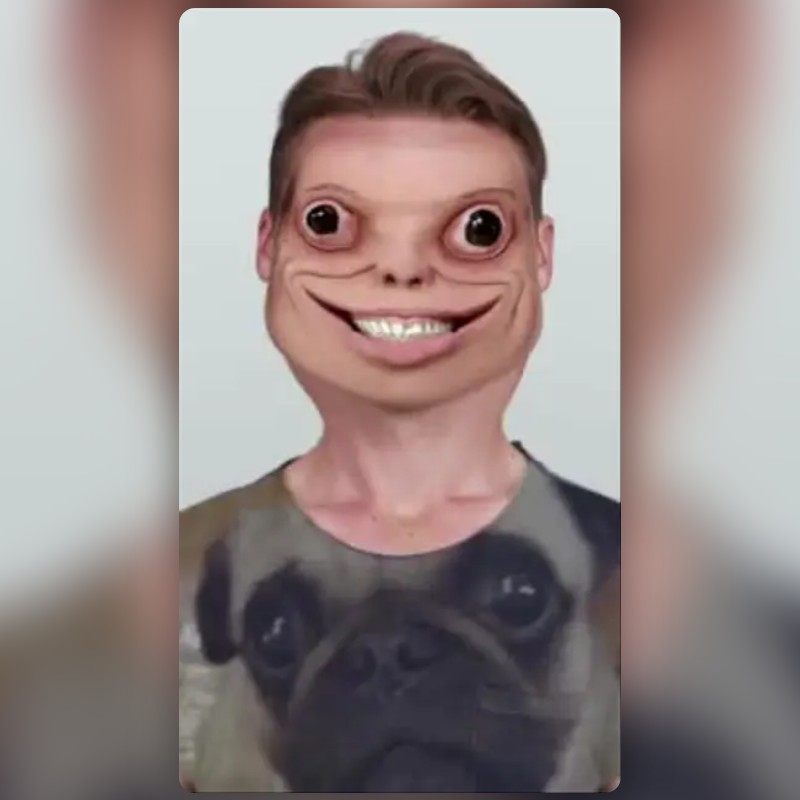 PUG Lens by jp pirie - Snapchat Lenses and Filters