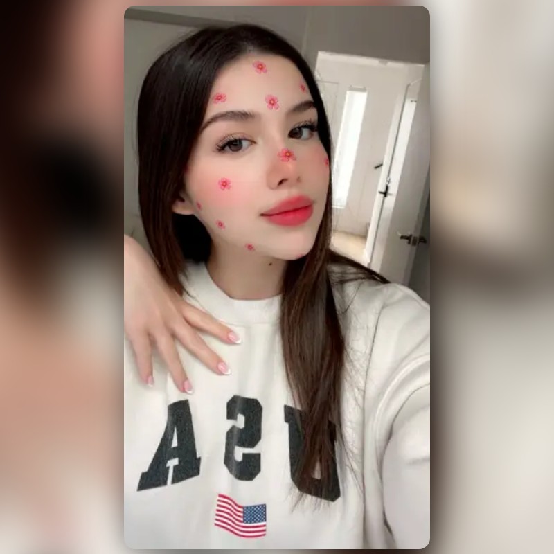 Pretty Flower Face Lens by 👸🏻 QUEENs Filter ⚘️🦋🧜🏻‍♀️ - Snapchat Lenses ...