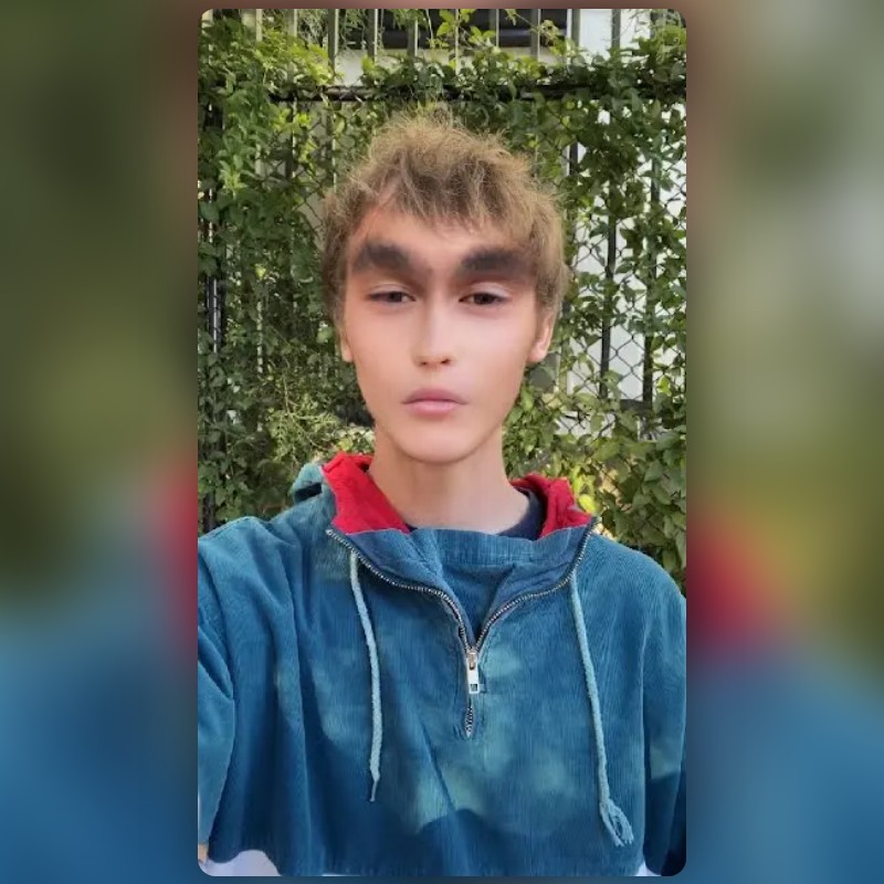 Furry Brows Filter by Snapchat | Snapchat Lenses