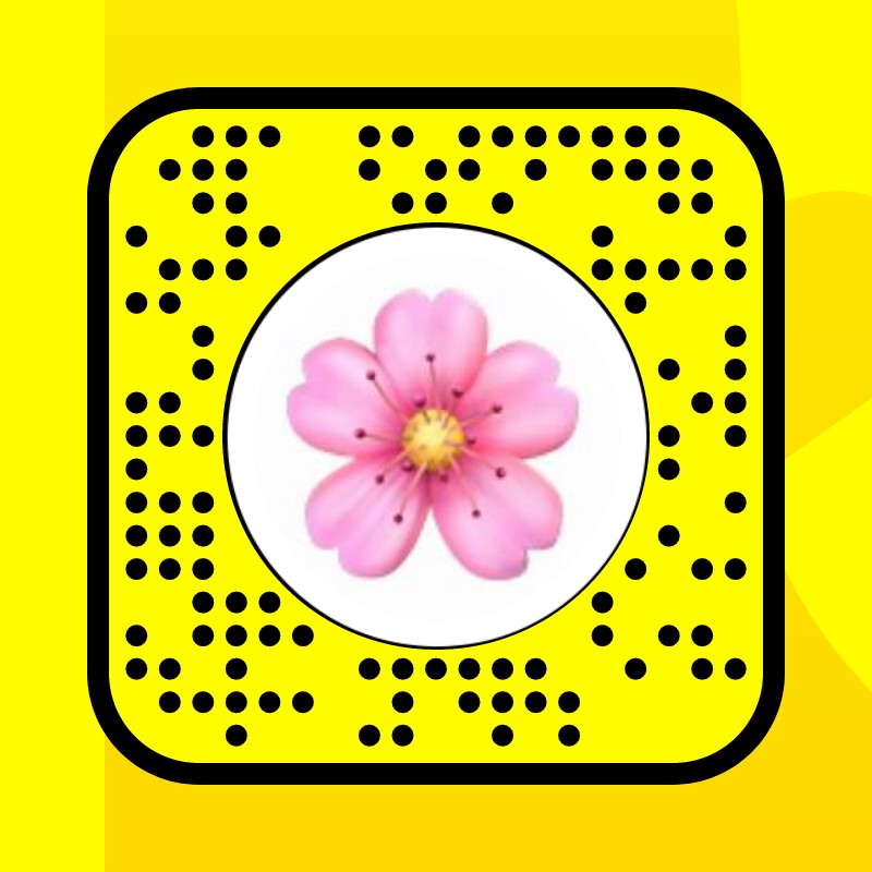 pink flower cheeks Lens by ellie covrig - Snapchat Lenses and Filters