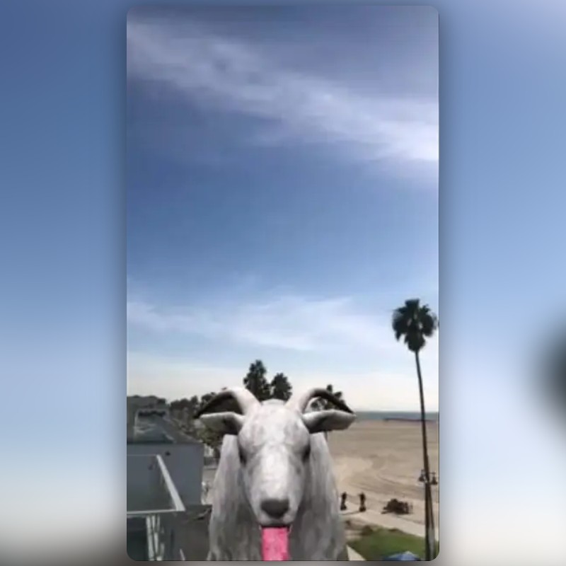 GS Sheep Filter by Gina Saluccio | Snapchat Lenses