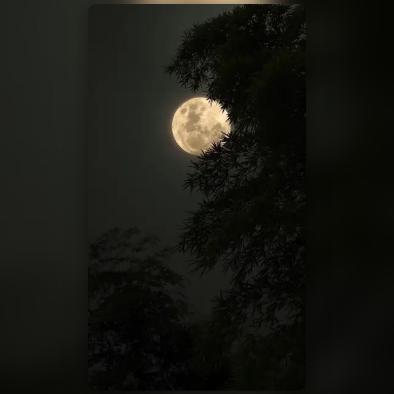 moon Filter by Araan Sheikh | Snapchat Lenses