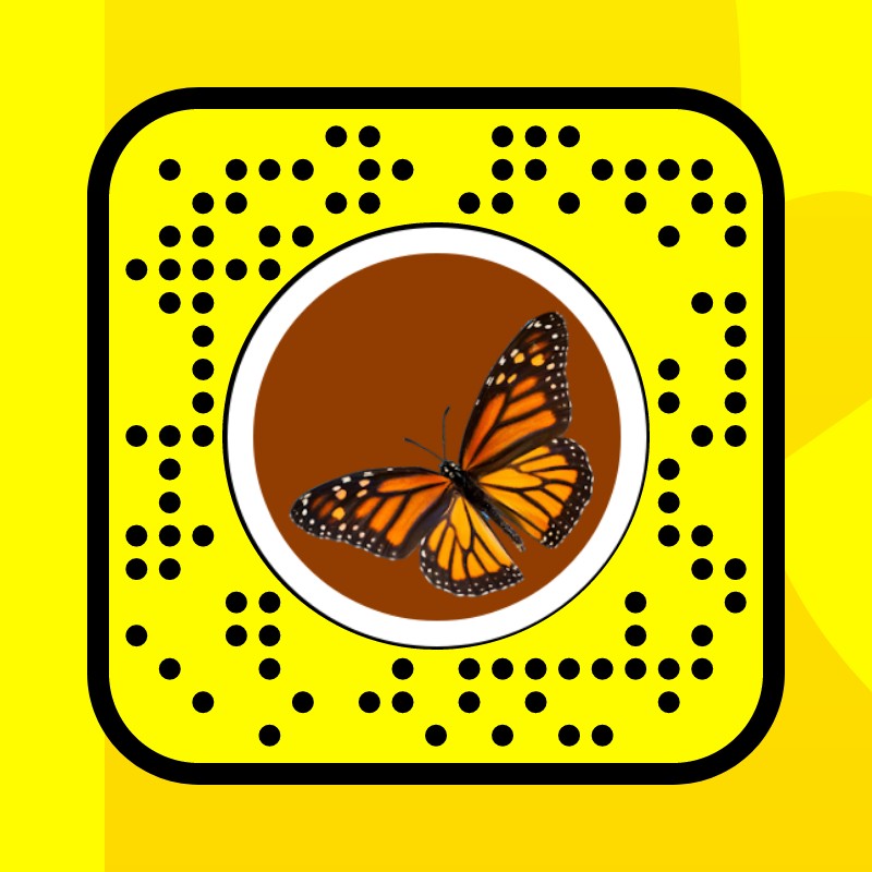 butterfly freckles Lens by amelia halverson - Snapchat Lenses and Filters