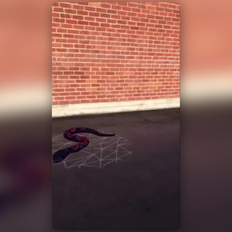 Cobra Snake 3D Lens by دیـــۆ 🌎 - Snapchat Lenses and Filters