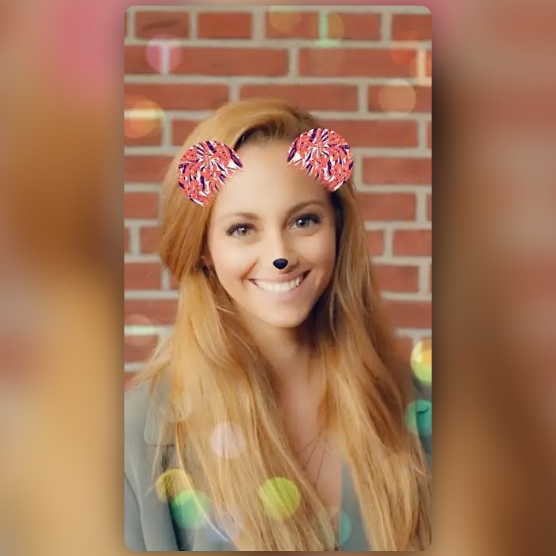 เลนส์ Pattern ears สร้างโดย Snapchat - เลนส์และฟิลเตอร์ Snapchat