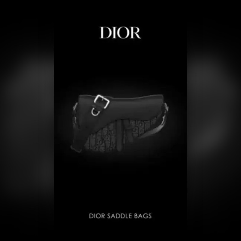 Dior Saddle Filter by Dior | Snapchat Lenses