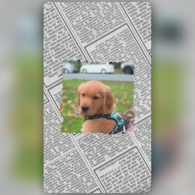 newspaper border Filter by gavino | Snapchat Lenses