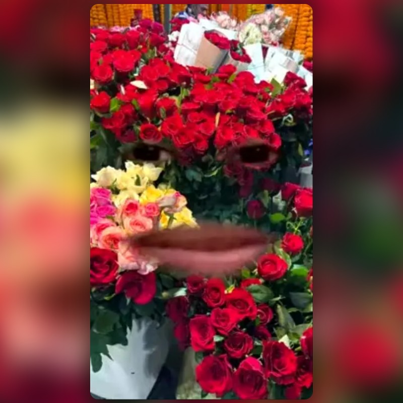 Flowers Filter by Priya_07 💫 | Snapchat Lenses