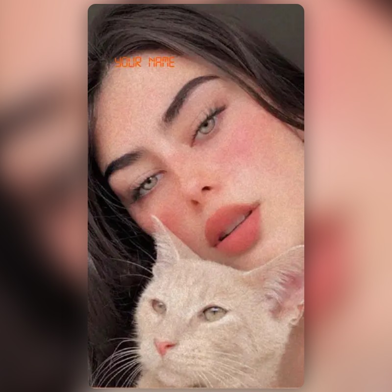 BEBO CAT Lens by Mahi Filters - Snapchat Lenses and Filters