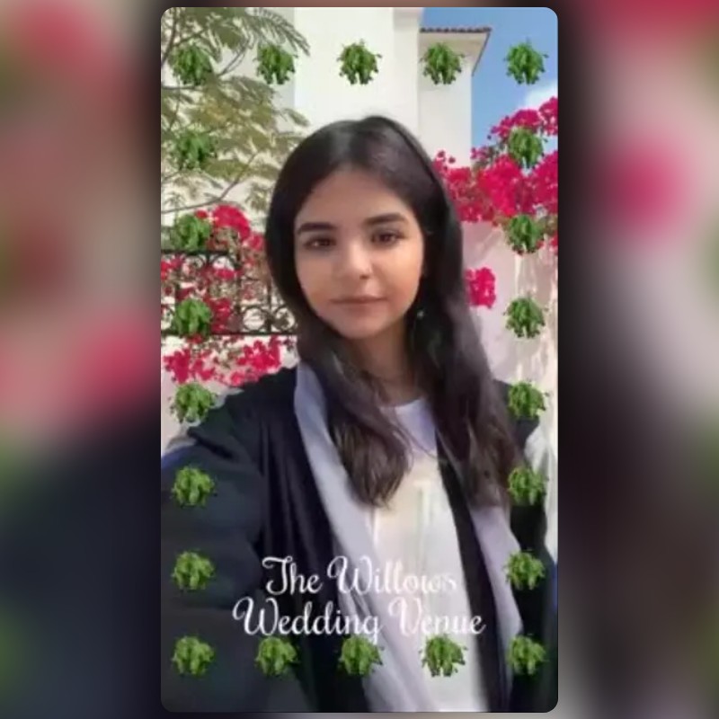 Willows 3D Frame Filter by Ljenkins | Snapchat Lenses