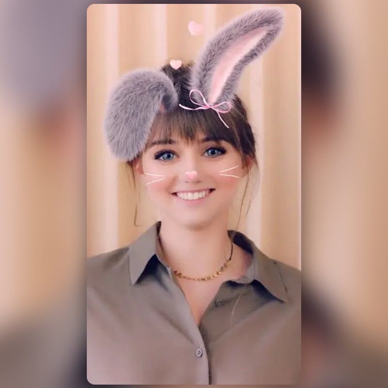 Grey Bunny Filter by Snapchat | Snapchat Lenses