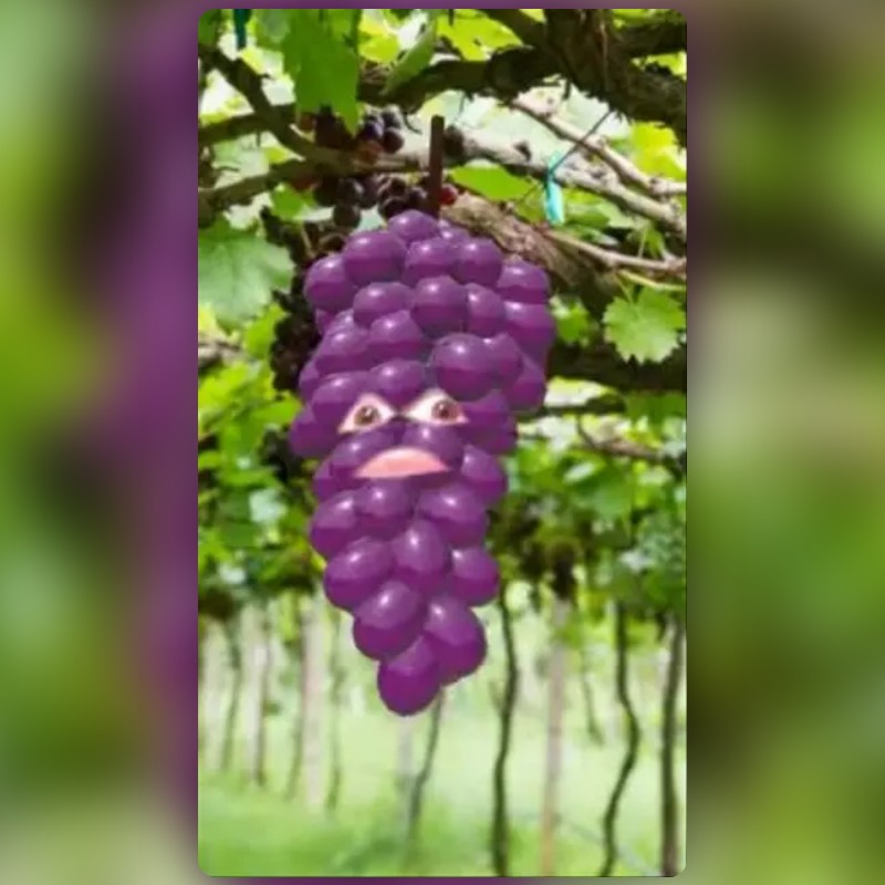 Grapes Head Filter by Marco | Snapchat Lenses