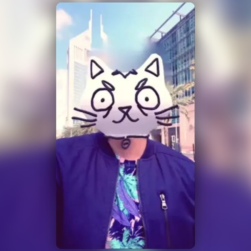 Naughty Cat Filter by Eder Bob The Cat | Snapchat Lenses
