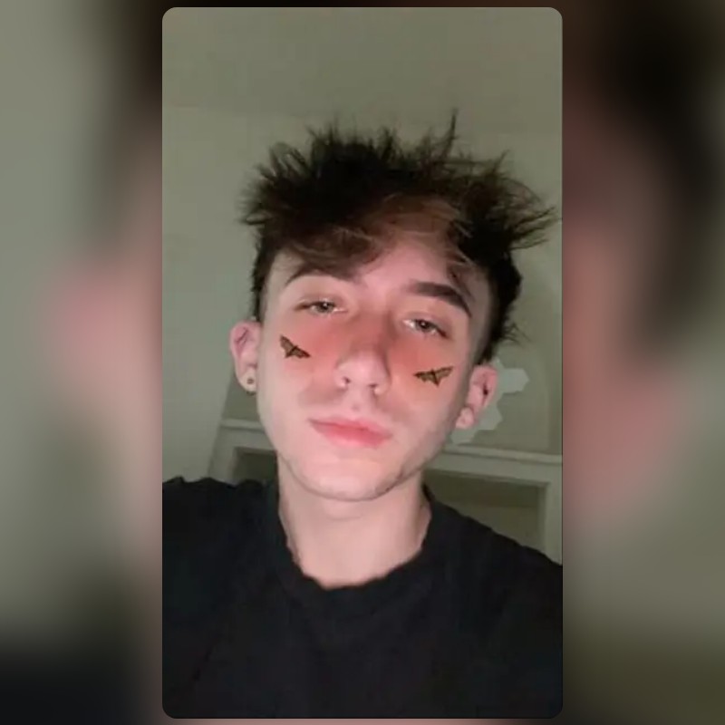 bat cheeks Filter by nat 😵‍💫 | Snapchat Lenses