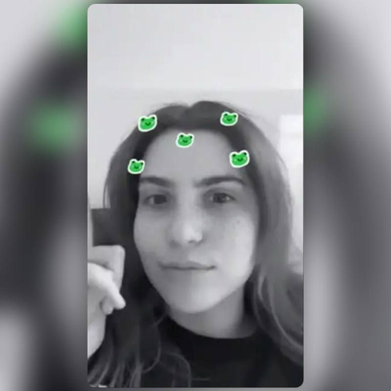 frogs Lens by andre - Snapchat Lenses and Filters