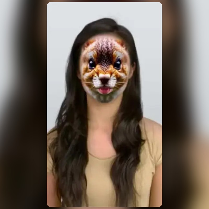 Squirrel Face Lens by Melissa Grail - Snapchat Lenses and Filters