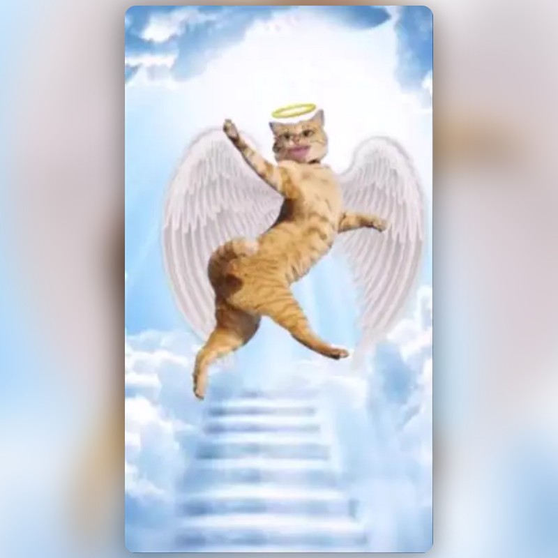Cat in Heaven Lens by Chania - Snapchat Lenses and Filters
